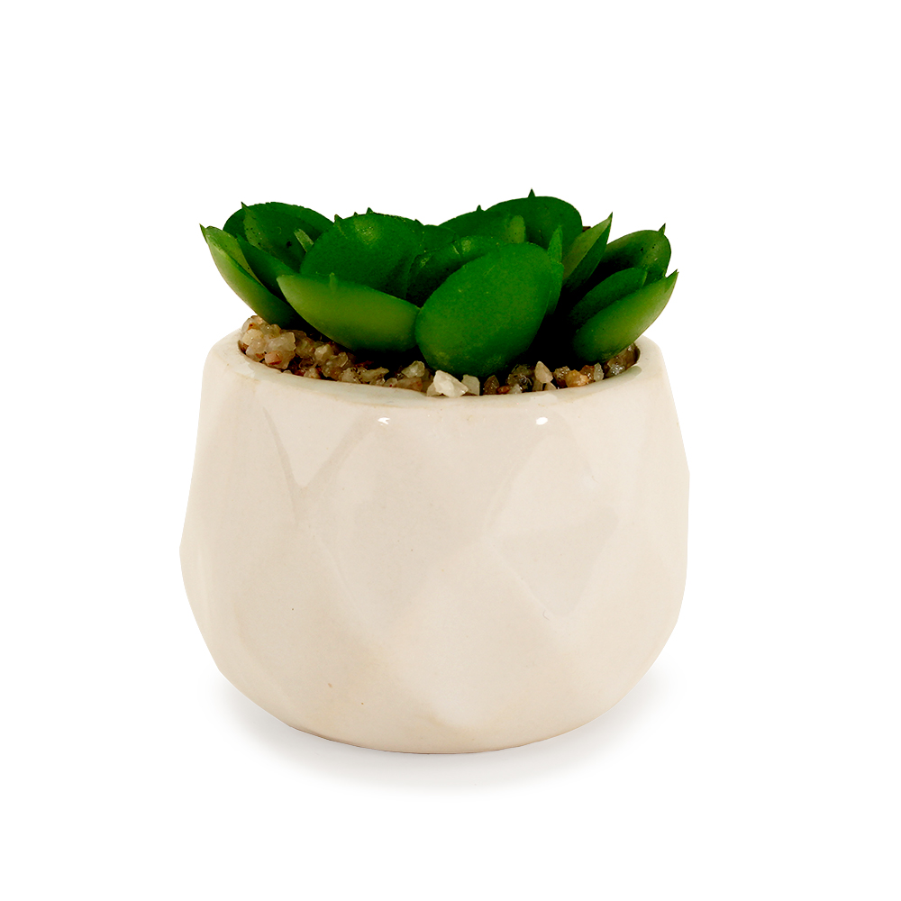 Planta Suculenta, Macetera Pequeña | Viva Muebles