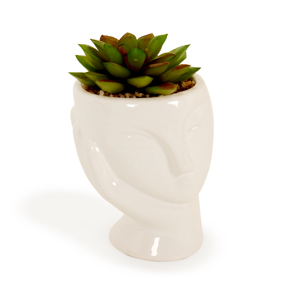 Planta Suculenta, Macetera de Rostro | Viva Muebles
